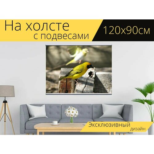 Картина на холсте "Птица, желтый, цвет" с подвесами 120х90 см. для интерьера