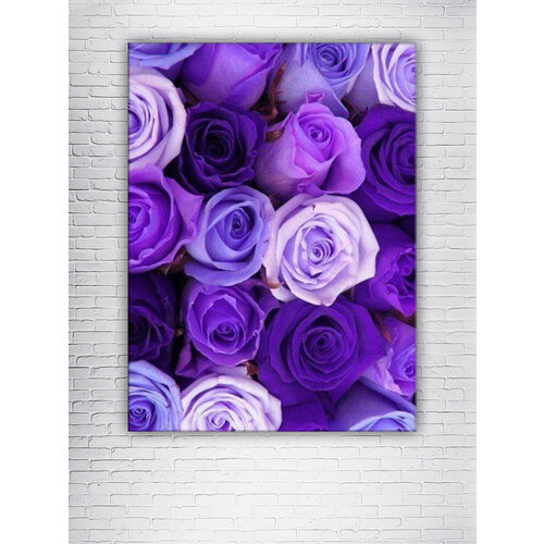 Картина/Картина на холсте/Картина на холсте для интерьера/ Картина на стену/ Картина в подарок для дома/- Фиолетовые розы 50x70