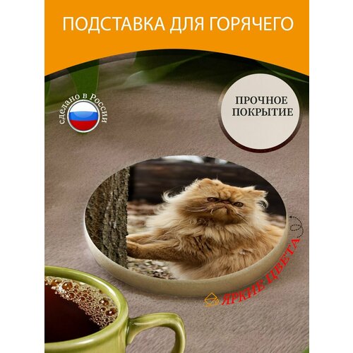 Подставка под горячее "Персы, персидская кошка, домашнее животное" 10 см. из блого мрамора