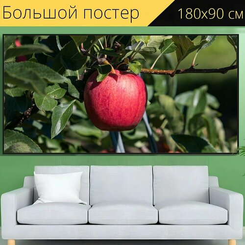 Большой постер "Яблоко, фрукты, фруктовое дерево" 180 x 90 см. для интерьера