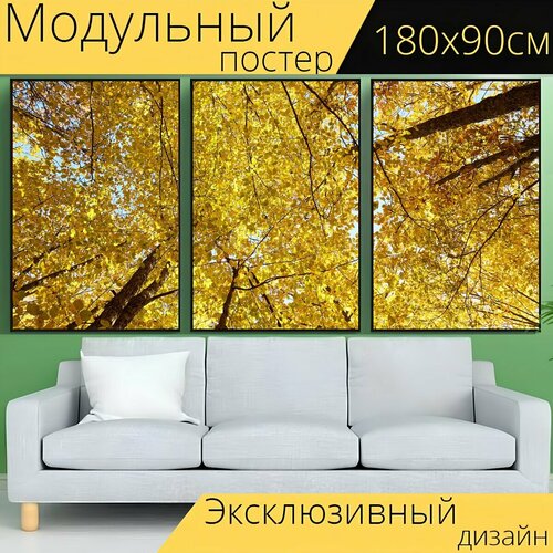 Модульный постер "Желтый, осень, лист" 180 x 90 см. для интерьера