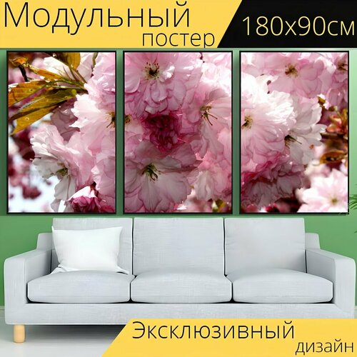 Модульный постер "Цветок, цветочный, весна" 180 x 90 см. для интерьера