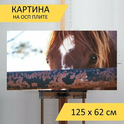 Картина на ОСП 125х62 см. "Лошадь, животное, изгородь" горизонтальная, для интерьера, с креплениями