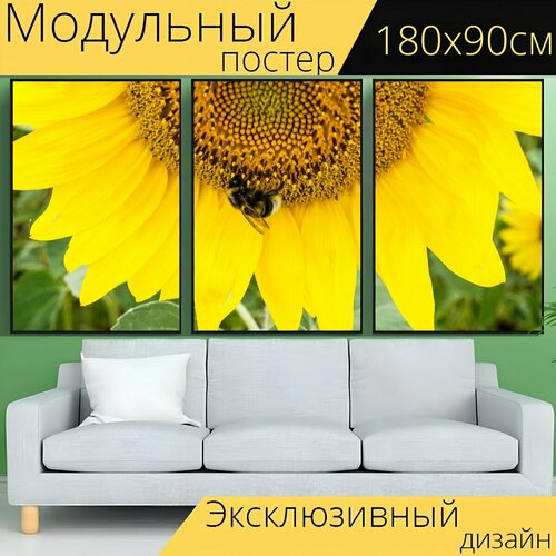 Модульный постер "Подсолнухи, семена подсолнечника, желтый" 180 x 90 см. для интерьера