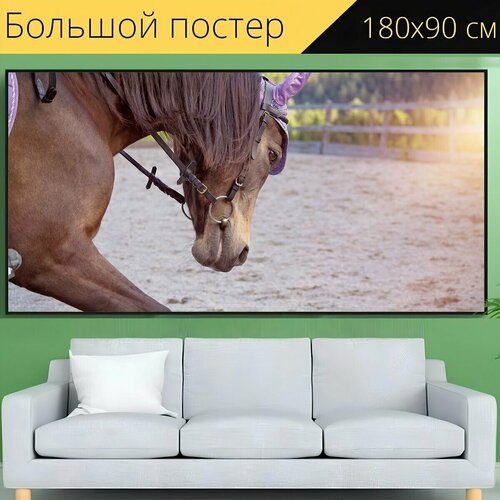 Большой постер "Лошадь, конный спорт, пони" 180 x 90 см. для интерьера