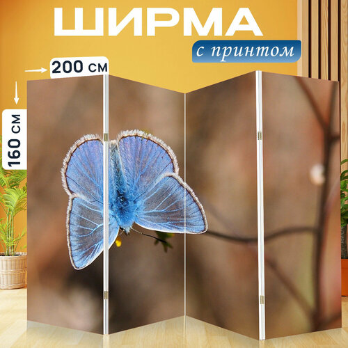 Ширма перегородка с принтом "Природа, насекомые, бабочка" на холсте - 200x160 см. для зонирования, раскладная