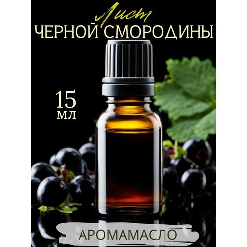 Ароматическое масло с капельницей Лист чёрной смородины 15 мл AROMAKO, для диффузоров, увлажнителей, ароматерапия
