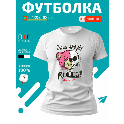 Футболка Череп с маской мишки с потеками There are no rules, размер 4XL, белый