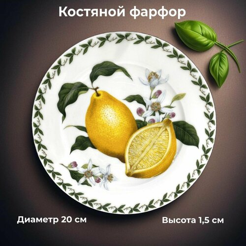 Тарелка фарфоровая десертная 20 см для подачи блюд и сервировки стола Лимон