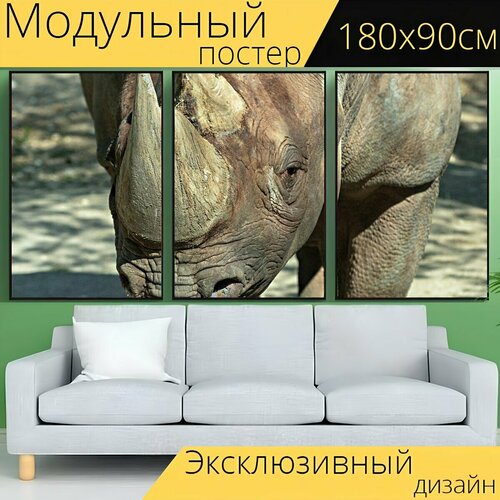 Модульный постер "Носорог, зоопарк, толстокожий" 180 x 90 см. для интерьера