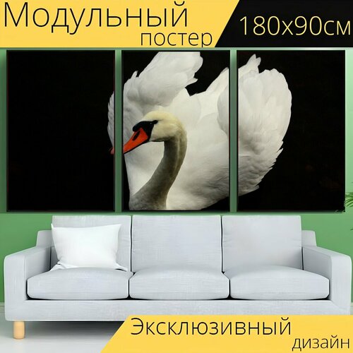 Модульный постер "Птица, птицы, лебедь" 180 x 90 см. для интерьера