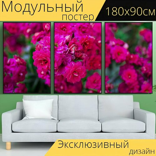 Модульный постер "Цветы, завод, сад" 180 x 90 см. для интерьера