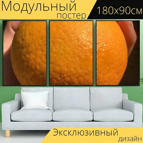 Модульный постер "Фрукты, оранжевый" 180 x 90 см. для интерьера