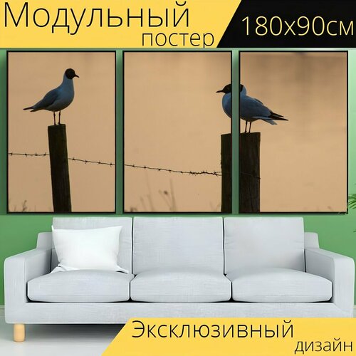 Модульный постер "Птицы на пост, птицы, птичий" 180 x 90 см. для интерьера