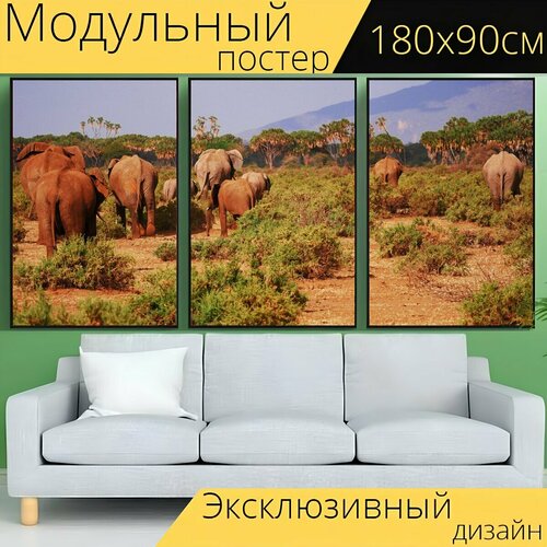 Модульный постер "Слоны, стадо, саванна" 180 x 90 см. для интерьера