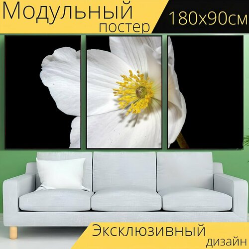 Модульный постер "Космея, белый, цветок" 180 x 90 см. для интерьера
