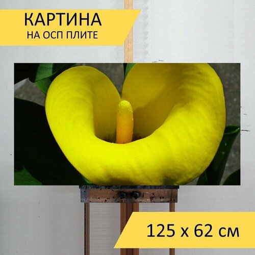 Картина на ОСП 125х62 см. "Калла, цветок, желтый" горизонтальная, для интерьера, с креплениями