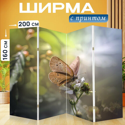 Ширма перегородка с принтом "Бабочка, насекомое, крылья" на холсте - 200x160 см. для зонирования, раскладная