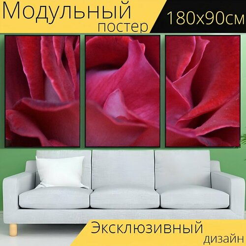 Модульный постер "Красный, роза, цветок" 180 x 90 см. для интерьера