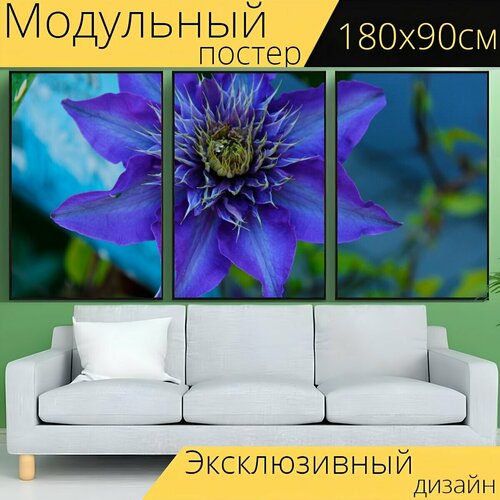 Модульный постер "Клематис, цветок, сад" 180 x 90 см. для интерьера