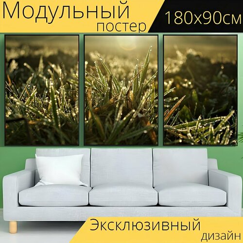 Модульный постер "Трава, пейзаж, солнечный свет" 180 x 90 см. для интерьера