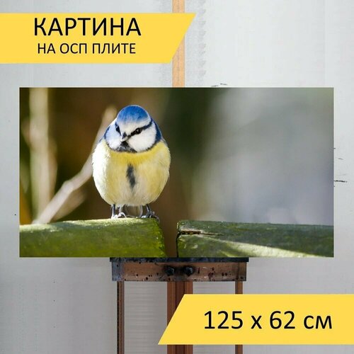 Картина на ОСП 125х62 см. "Птица, синица, певчая птица" горизонтальная, для интерьера, с креплениями