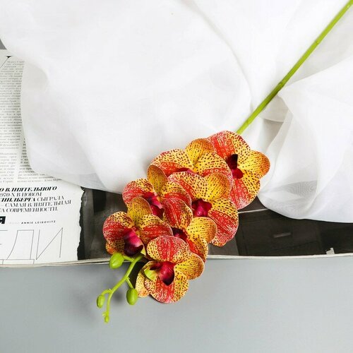 Цветы искусственные "Орхидея экстра галант" 60 d-8 см, жёлтый