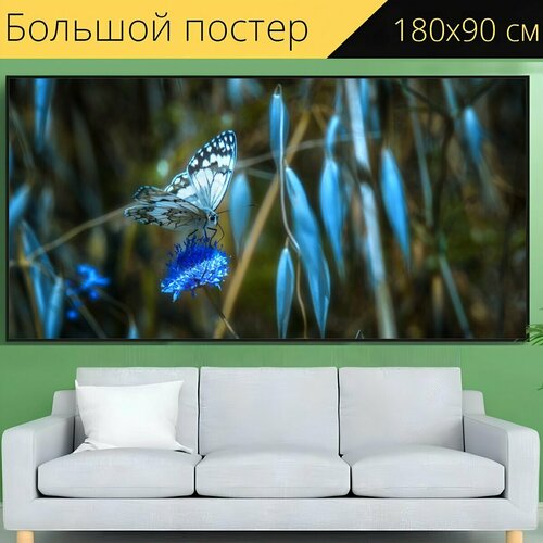 Большой постер "Бабочка, насекомое, цветок" 180 x 90 см. для интерьера