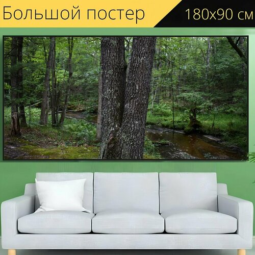 Большой постер "Природа, зелень, лес" 180 x 90 см. для интерьера