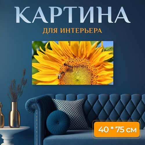 Картина на холсте "Подсолнух, цветок, желтый" на подрамнике 75х40 см. для интерьера