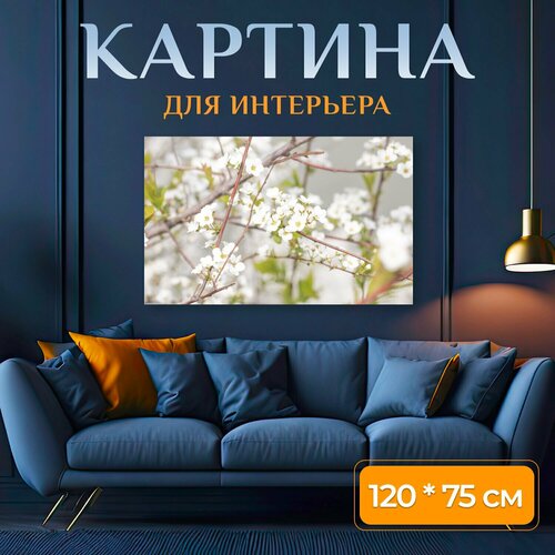 Картина на холсте "Лабазник деревьев, белый, цветок" на подрамнике 120х75 см. для интерьера
