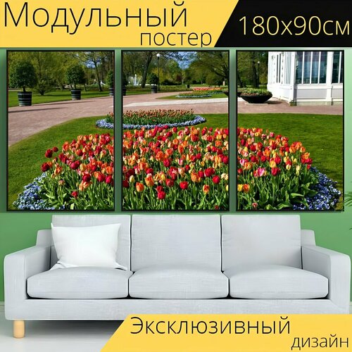 Модульный постер "Тюльпаны, гетеборг, сад общество гетеборг" 180 x 90 см. для интерьера