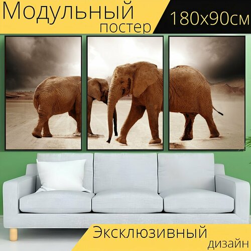 Модульный постер "Слоны, двигаться, песок" 180 x 90 см. для интерьера