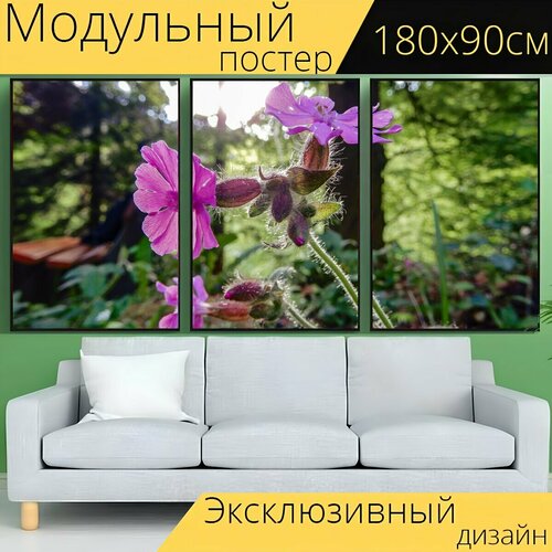 Модульный постер "Цветок, фиолетовый, полевой цветок" 180 x 90 см. для интерьера
