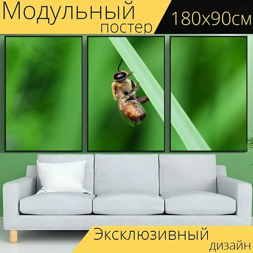 Модульный постер "Дрон, пчела, мужчина" 180 x 90 см. для интерьера