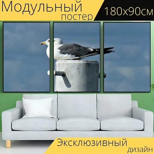Модульный постер "Озёрная чайка, чайка, птица" 180 x 90 см. для интерьера