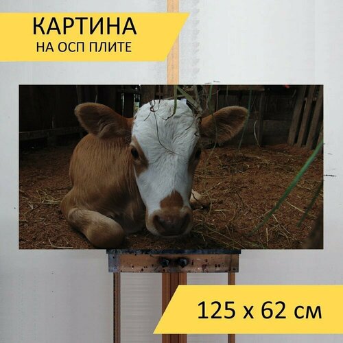 Картина на ОСП 125х62 см. "Теленок, корова, торо" горизонтальная, для интерьера, с креплениями