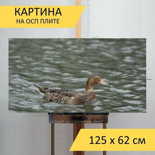 Картина на ОСП 125х62 см. "Утка, плавание утка, вода" горизонтальная, для интерьера, с креплениями