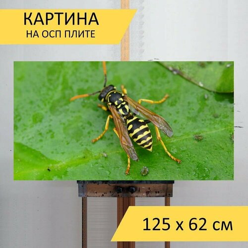 Картина на ОСП 125х62 см. "Природа, насекомое, оса" горизонтальная, для интерьера, с креплениями