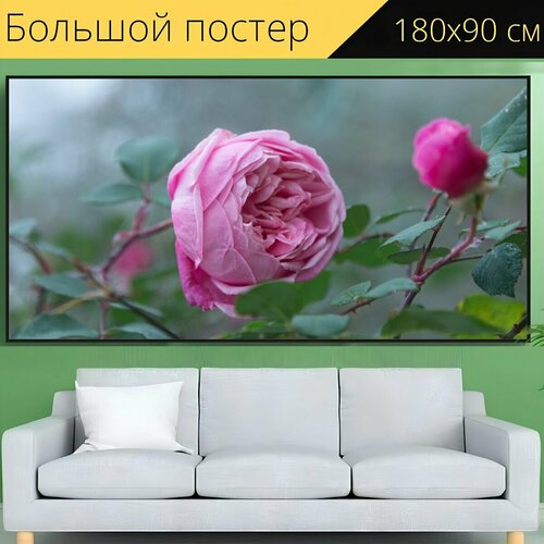 Большой постер "Роза, цветок, цветочки розовые" 180 x 90 см. для интерьера