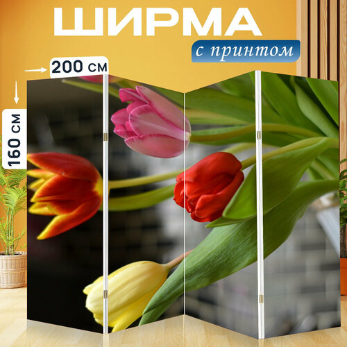 Ширма перегородка с принтом "Тюльпаны, ваза, цветы" на холсте - 200x160 см. для зонирования, раскладная