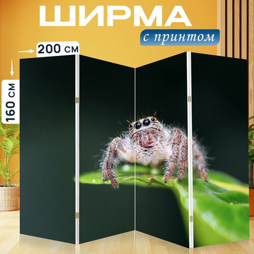Ширма перегородка с принтом "Пауки, паук, насекомое" на холсте - 200x160 см. для зонирования, раскладная