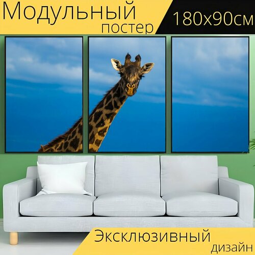 Модульный постер "Африка, сафари, пустыня" 180 x 90 см. для интерьера