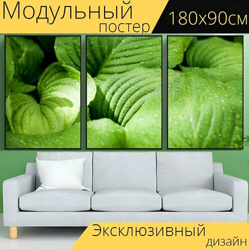 Модульный постер "Растение, зеленое, лето" 180 x 90 см. для интерьера