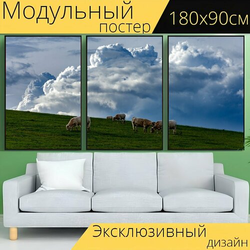 Модульный постер "Пастбище, облако, природа" 180 x 90 см. для интерьера