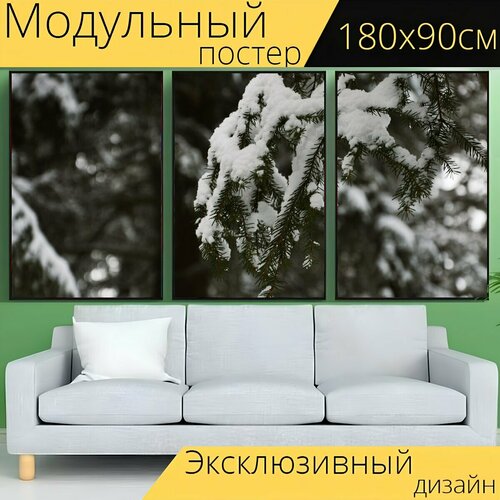 Модульный постер "Сосна, ветви, снег" 180 x 90 см. для интерьера