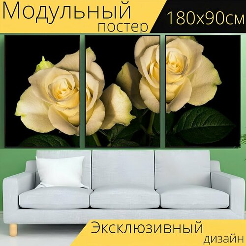 Модульный постер "Цветы, розы, лепестки" 180 x 90 см. для интерьера