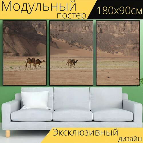 Модульный постер "Алжир, сахара, пустыня" 180 x 90 см. для интерьера