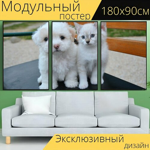 Модульный постер "Собака кошка, щенок, котенок" 180 x 90 см. для интерьера