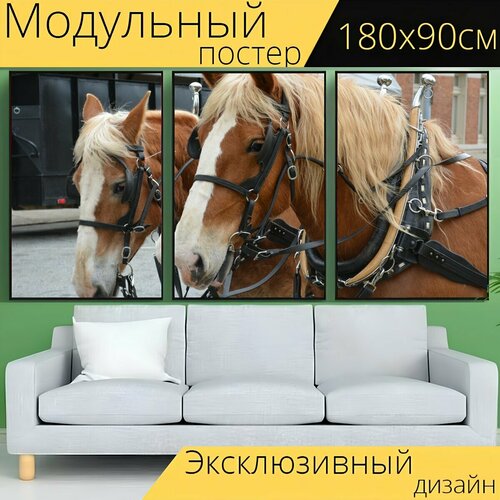 Модульный постер "Лошади, животные, лошадь" 180 x 90 см. для интерьера